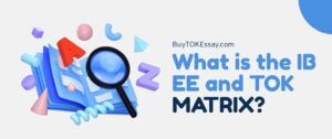 EE and TOK Matrix: Maximizing Your IB Score